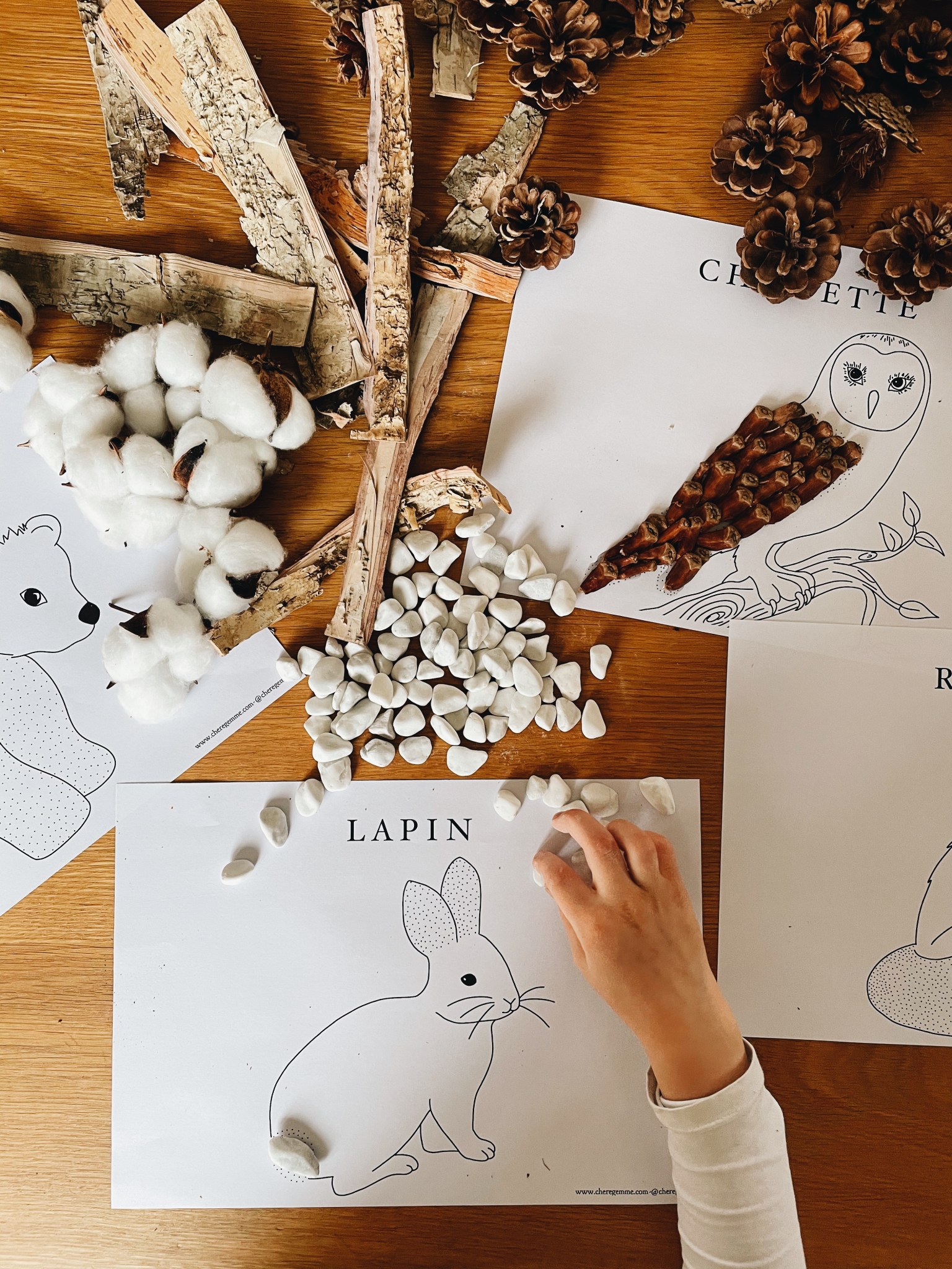 Activité enfant – Les animaux d’hiver – Chère Gemme,