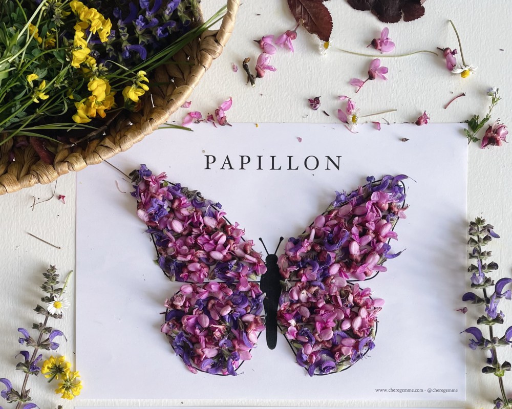 Activité enfant – Les animaux du printemps – Chère Gemme,