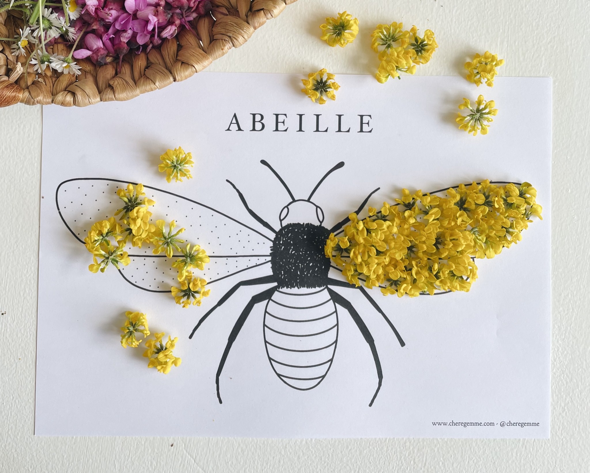 Activité enfant – Les animaux du printemps – Chère Gemme,